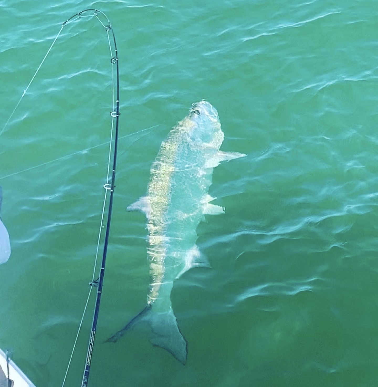 Trips and Rates – Marine Zone Fishing